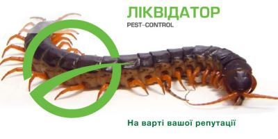 Сколопендра домашня — методи рятування, наслідки укусу